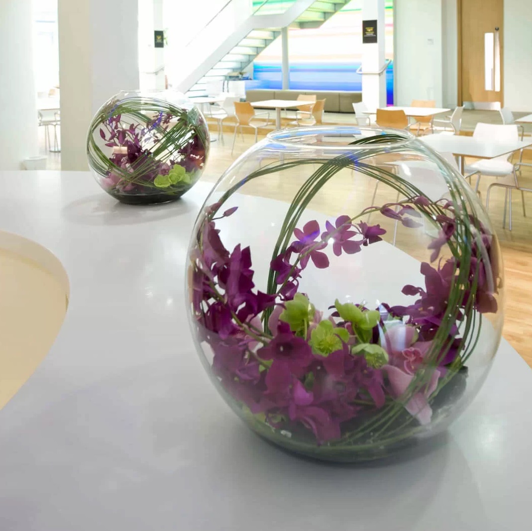 Plan Premium Luxury Roses Floristería Y Regalos En Costa Rica
